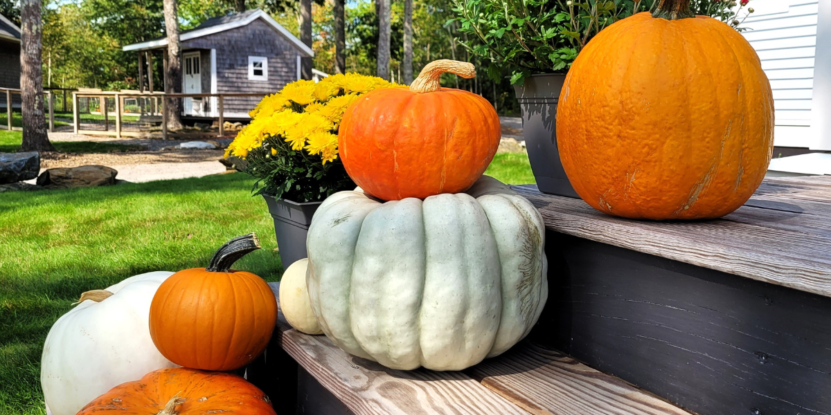 How We’re Planning to Decorate for Fall This Year